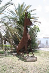 La historia de Perico, el Burrito famoso de Santa Clara que bebia ...