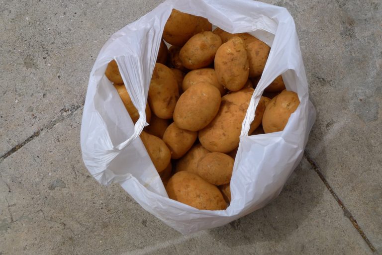 ¿Por qué es tan importante la jaba para el cubano? - Todo Cuba