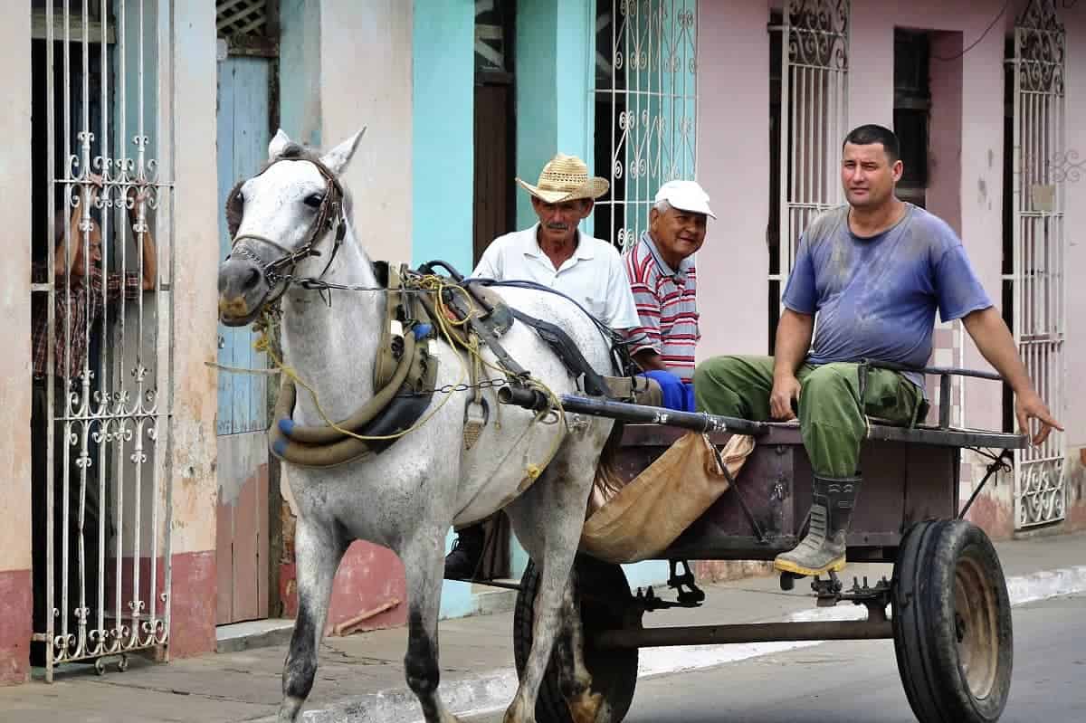 Éste es el verdadero deporte nacional de los cubanos - Todo Cuba