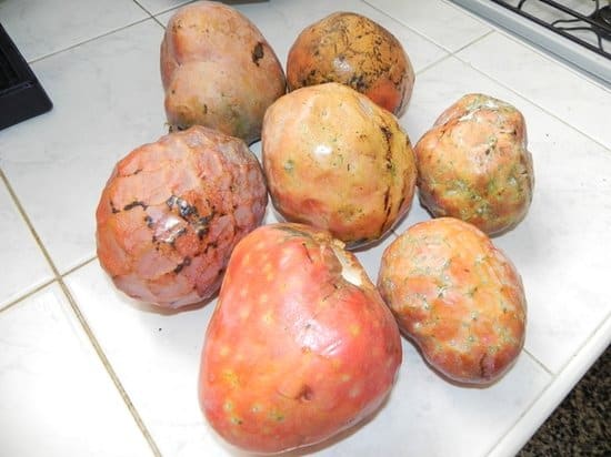 Las frutas exóticas, de sabor único e inconfundible, que puedes probar ...