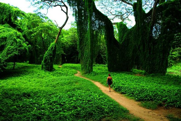 20 de los parques más hermosos de La Habana - Todo Cuba