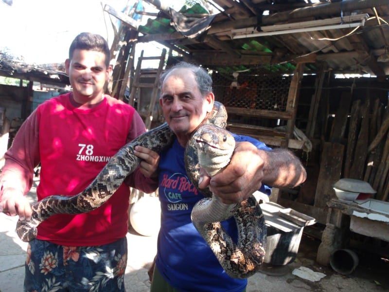 Curiosidades, mitos e historias reales del majá de Santa María, la gran ...