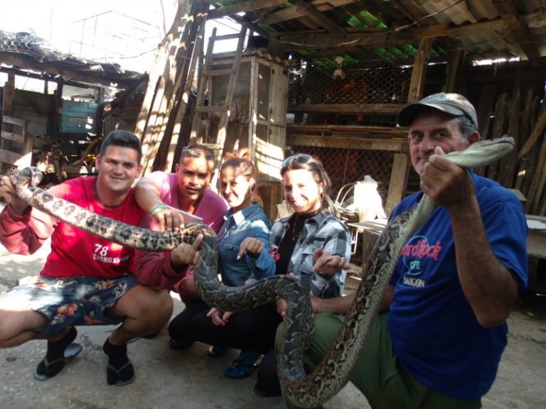 Curiosidades, mitos e historias reales del majá de Santa María, la gran ...