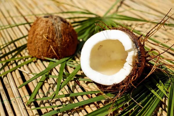 Camarones rebozados con coco, exquisita receta cubana - Todo Cuba