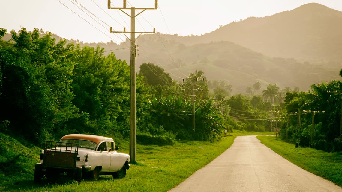 Sabanas de Manacas: el único bosque modelo de Cuba - Todo Cuba