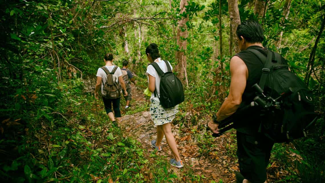 Sabanas de Manacas: el único bosque modelo de Cuba - Todo Cuba