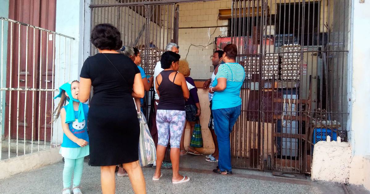 ¡Llegaron los huevos!, el grito que hacer formar rápidamente las colas ...