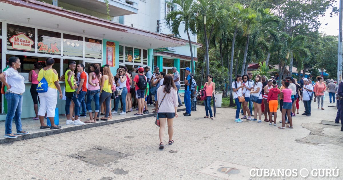 La guía completa de las reglas que debes cumplir si vas a hacer una ...