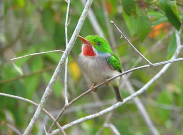 El Bagá, un destino natural casi desconocido en Cuba - Todo Cuba