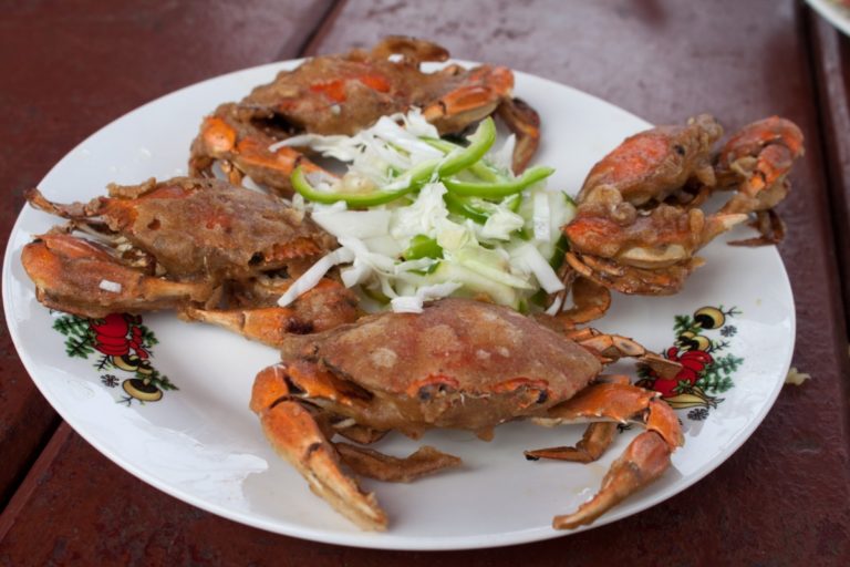 Carijai, la fiesta de las jaibas en Santiago de Cuba que cada vez se ...