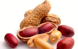 Vender maní en Cuba, un negocio del subdesarrollo - Todo Cuba