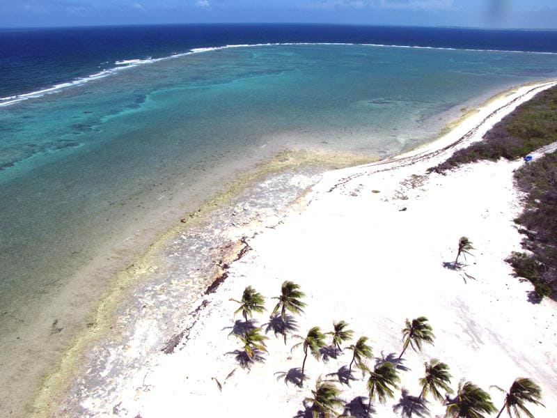 Cayo Sabinal, un exótico y fantástico entorno en Cuba - Todo Cuba