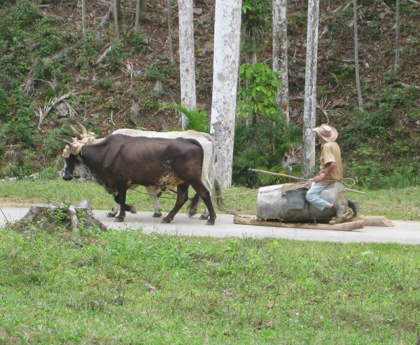 La historia de Cortina y su famosa hacienda - Todo Cuba
