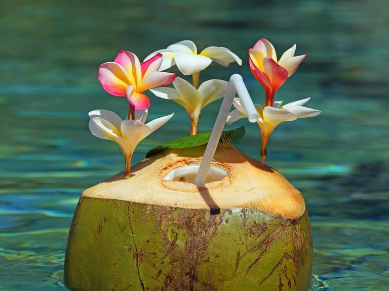 Saoco: El cóctel cubano que llegó con el hielo - Todo Cuba