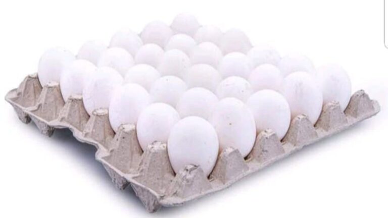 Precios en Cuba: un cartón de huevos a 1000 pesos - Todo Cuba