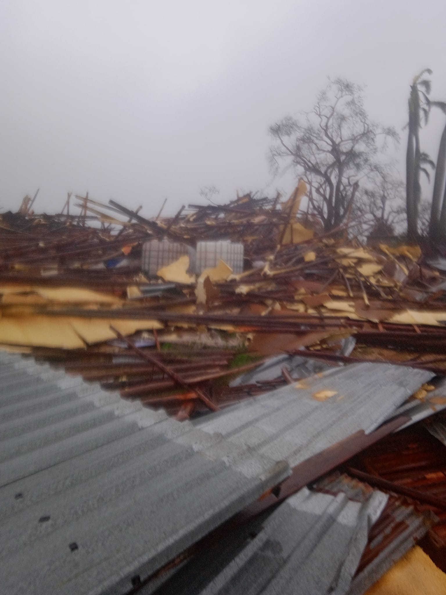 Huracán Ian destruye finca donde se produce el famoso tabaco Robaina ...