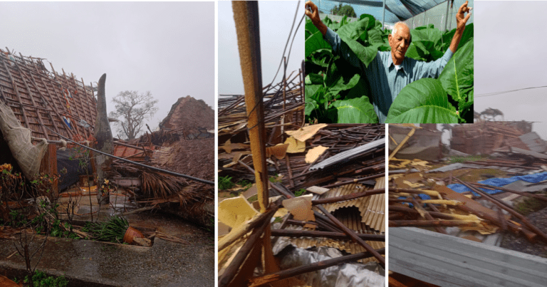 Huracán Ian destruye finca donde se produce el famoso tabaco Robaina ...