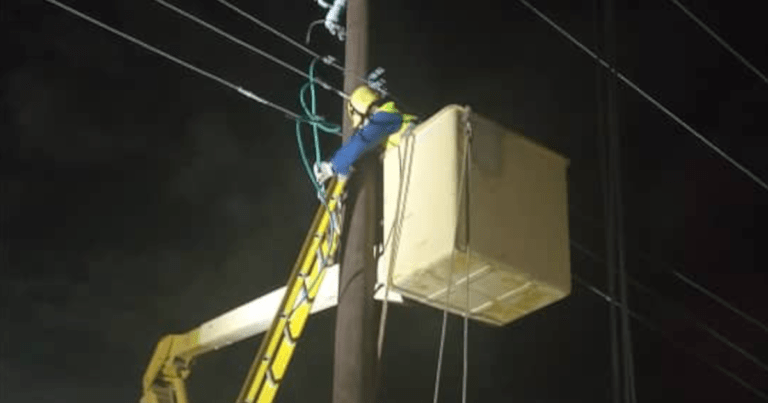 Así es el toti, el pájaro negro al que más refranes y culpas le echan ...