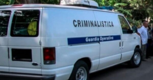 Así es el toti, el pájaro negro al que más refranes y culpas le echan ...