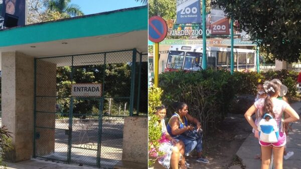 En Cuba hay influenza aviar en el Zoológico de 26: está en cuarentena ...