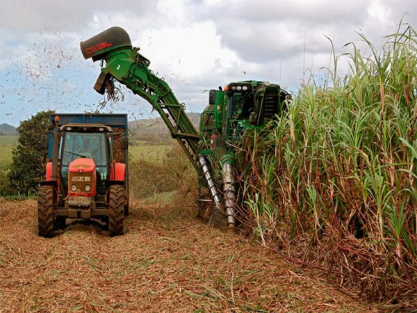 Proyectos de modernización azucarera en Cuba con inversion extranjera ...